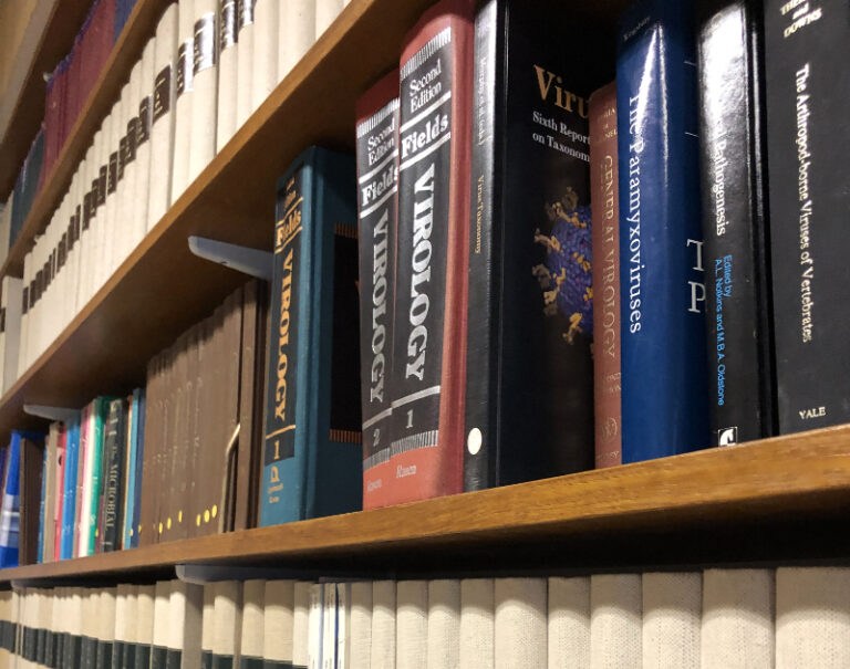 -Publications- Virology Department – Institute for Integrative Biology ...