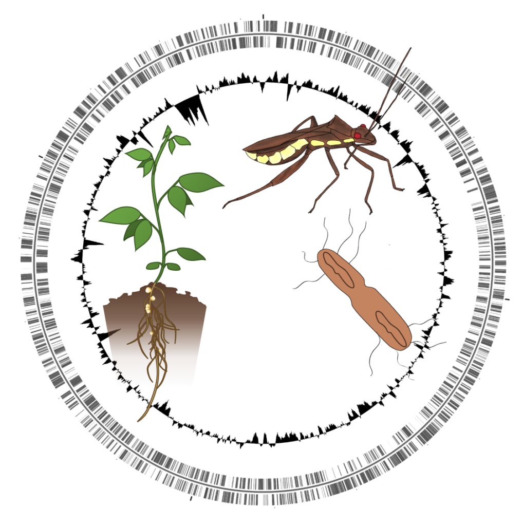 Page equipe Faure Mergaert – Institute for Integrative Biology of the Cell