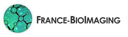 BioImaging – Institute for Integrative Biology of the Cell