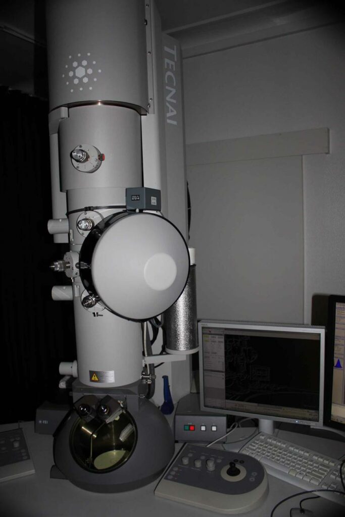 CryoEM – Institute for Integrative Biology of the Cell