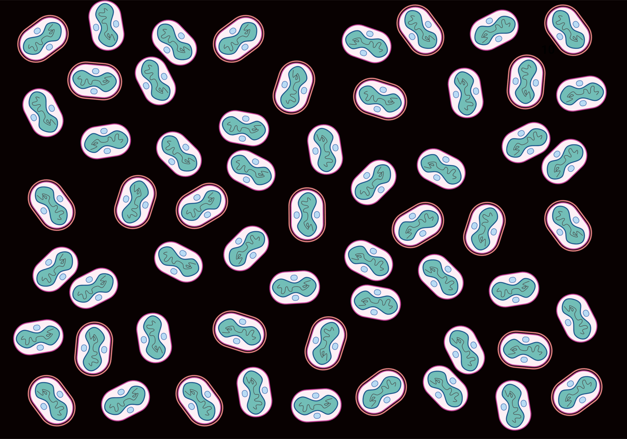 Virology Department – Institute for Integrative Biology of the Cell