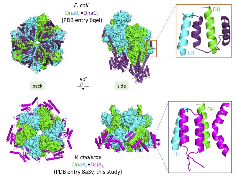 news-2023 – Institute for Integrative Biology of the Cell